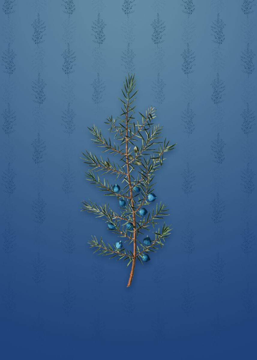 'Vintage Common Juniper' Poster, picture, metal print, paint by Holy ...