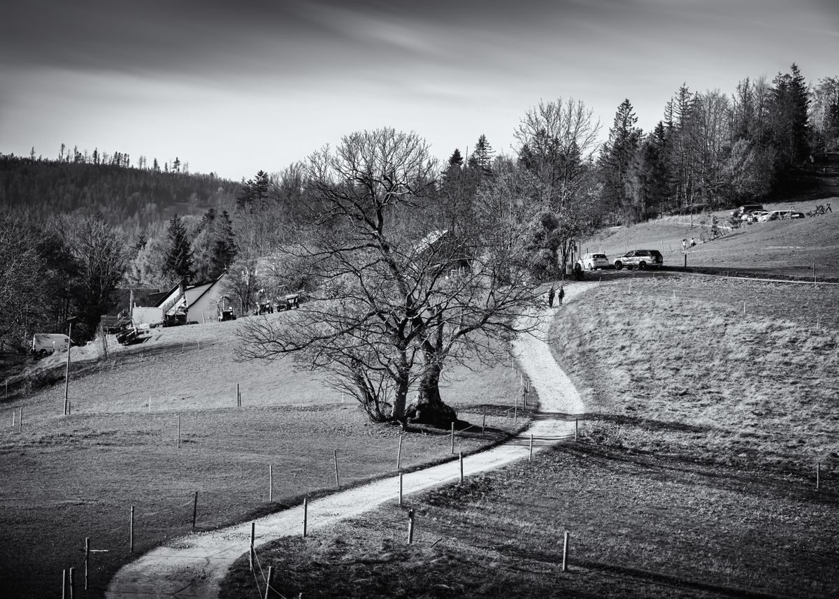'Winding path' Poster by anettastar | Displate