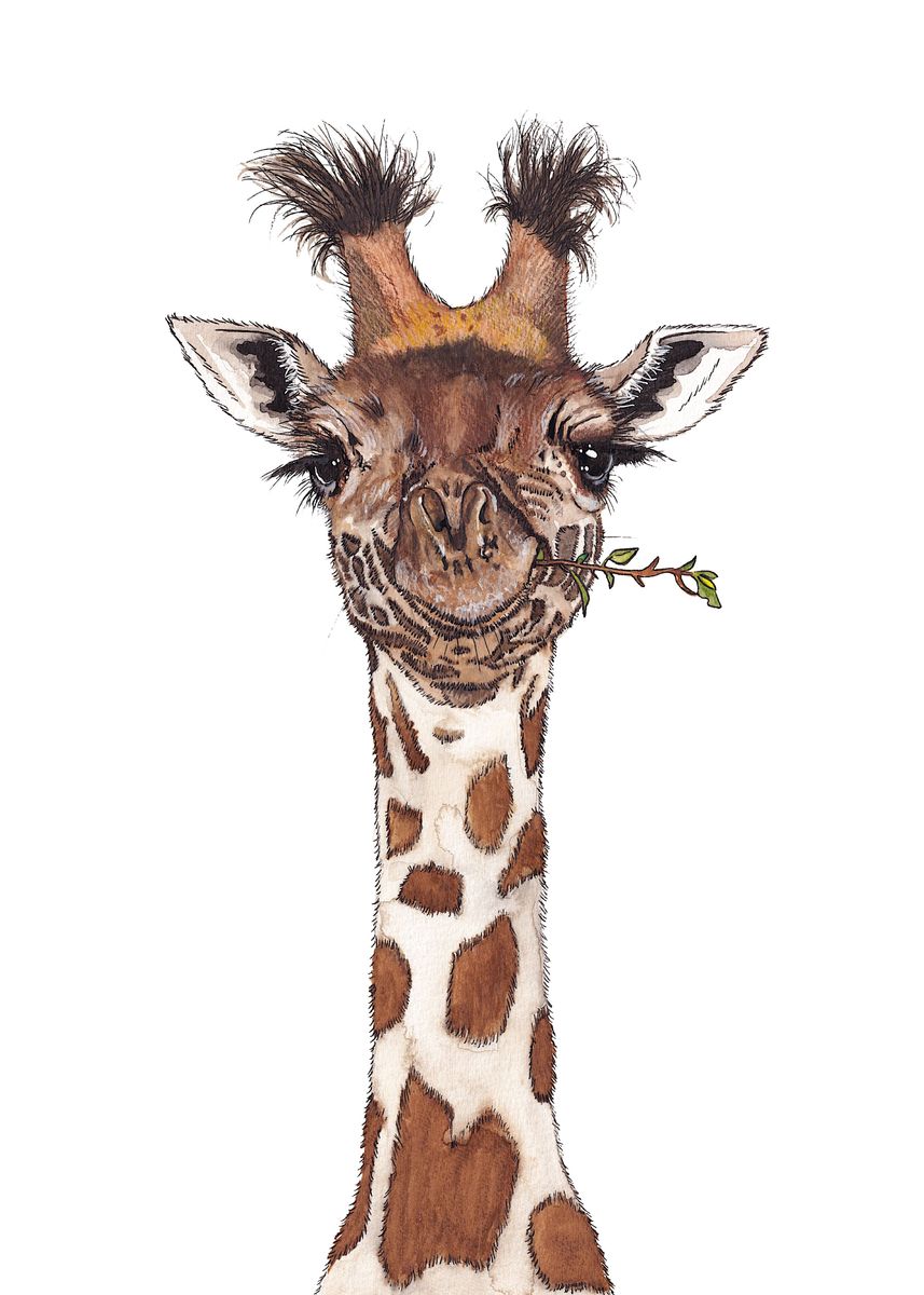 'George the Giraffe' Poster, picture, metal print, paint by Robyn Heath ...
