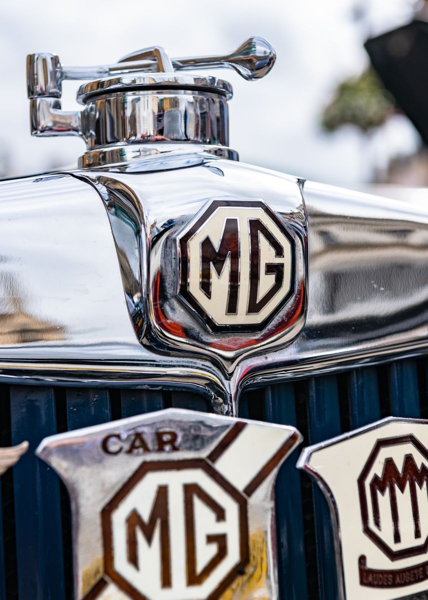 'MG Car signature' Poster, picture, metal print, paint by Sam Brady ...