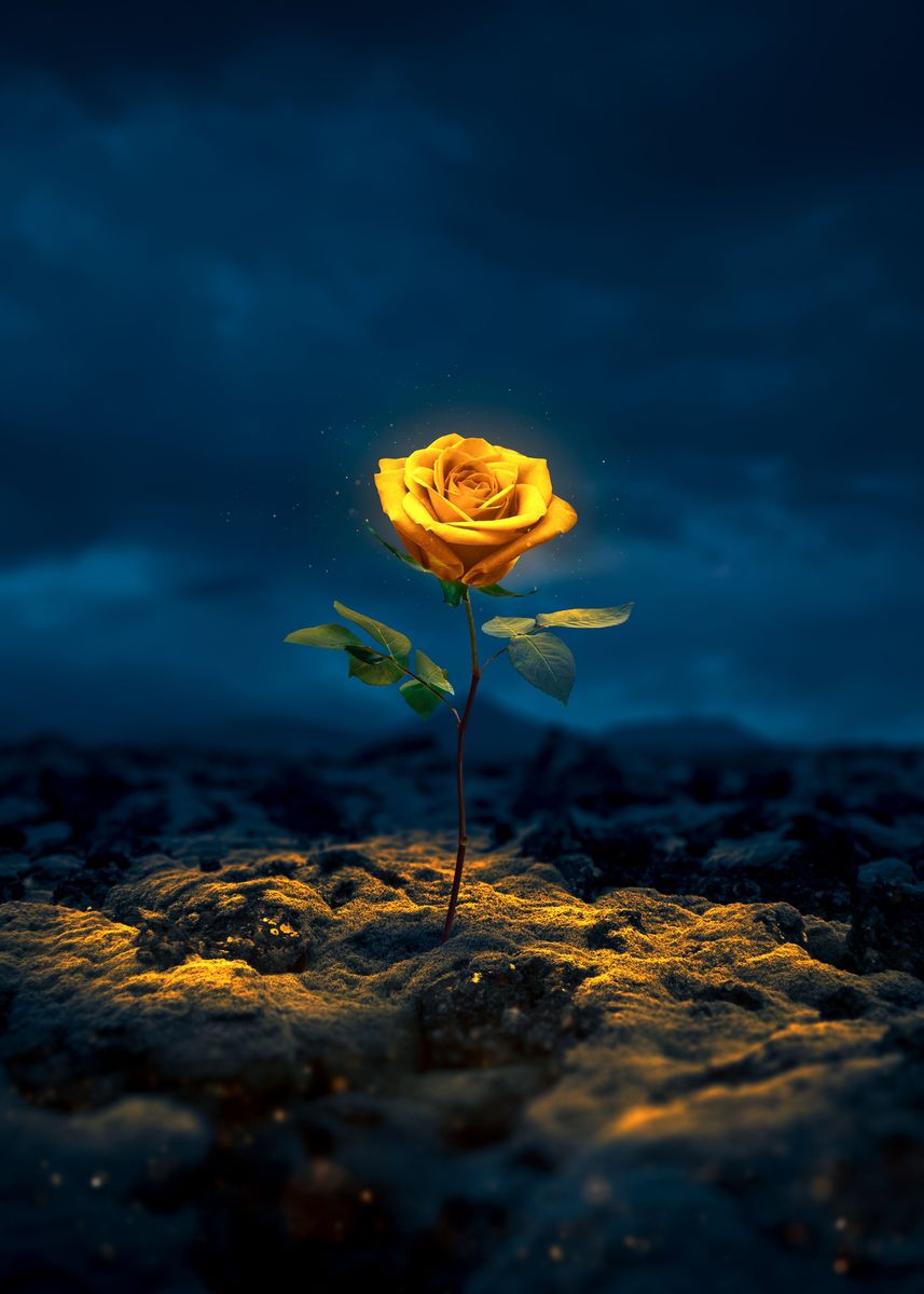 'Lonely' Poster, picture, metal print, paint by Majd Khatib | Displate