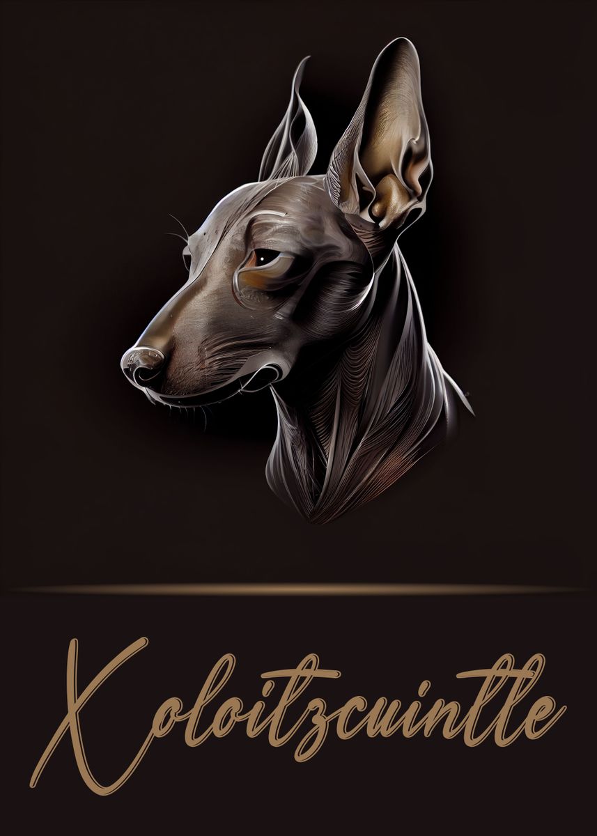 'Xoloitzcuintli Portrait' Poster, picture, metal print, paint by Artistic Paradigms | Displate
