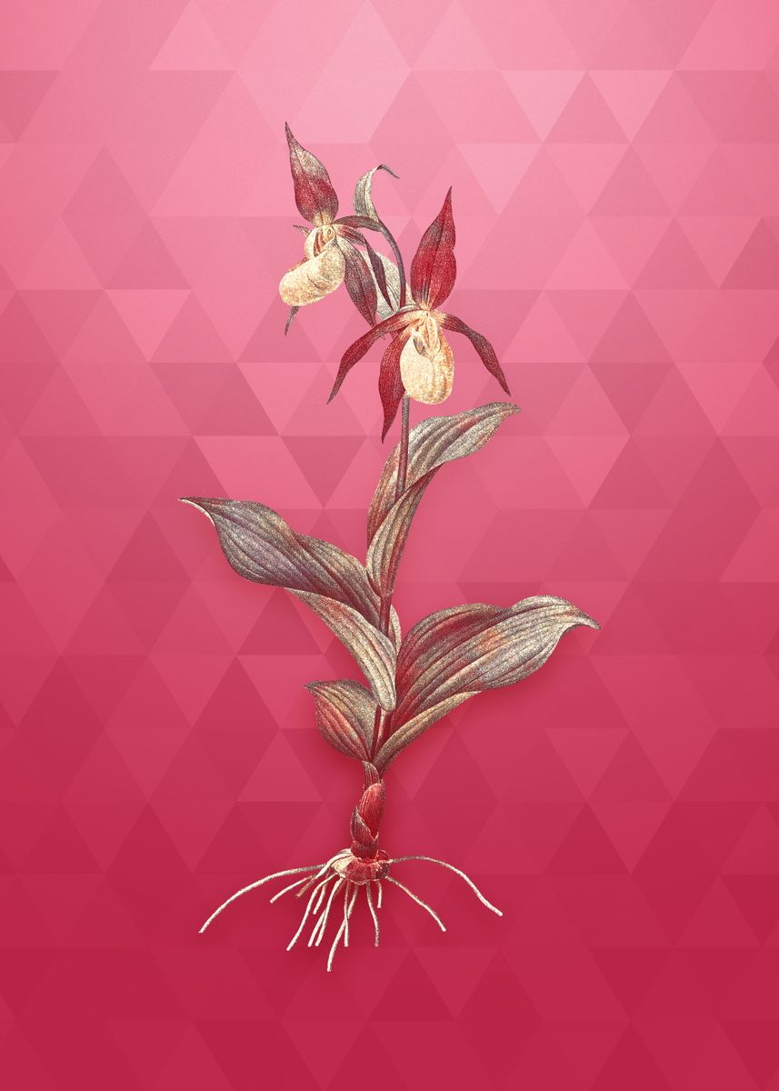 'Gold Ladys Slipper Orchid' Poster, picture, metal print, paint by Holy ...