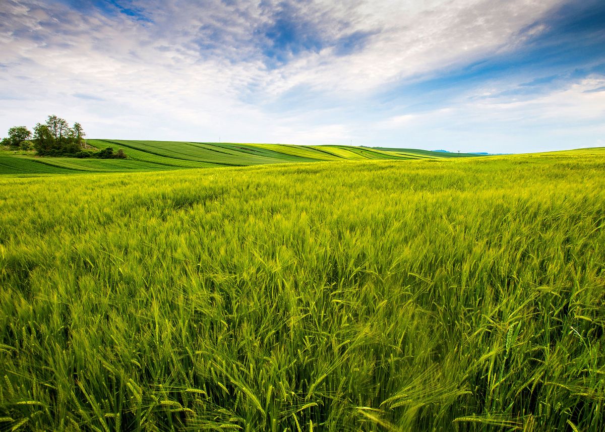 'Landscape' Poster by Anime59 Art70 | Displate