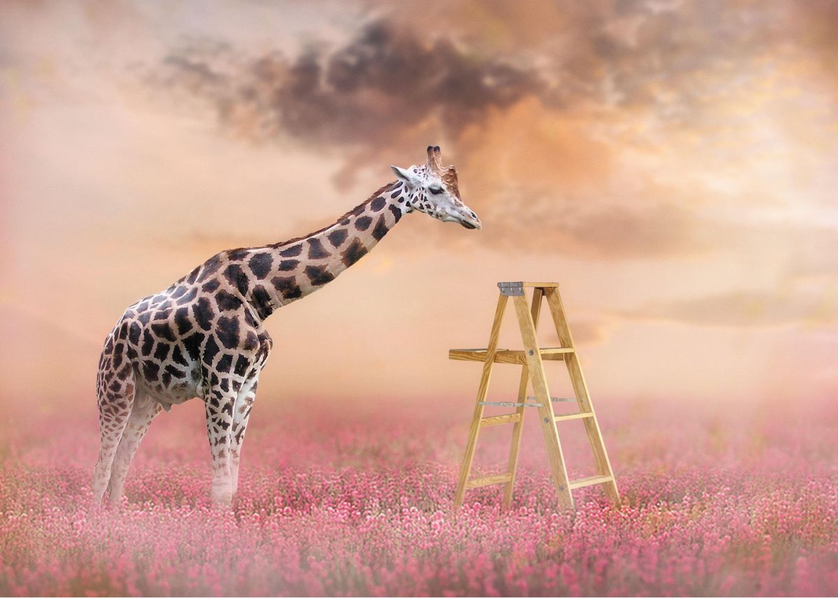 'Mystic Animal Pictures' Poster by Color My Wall | Displate