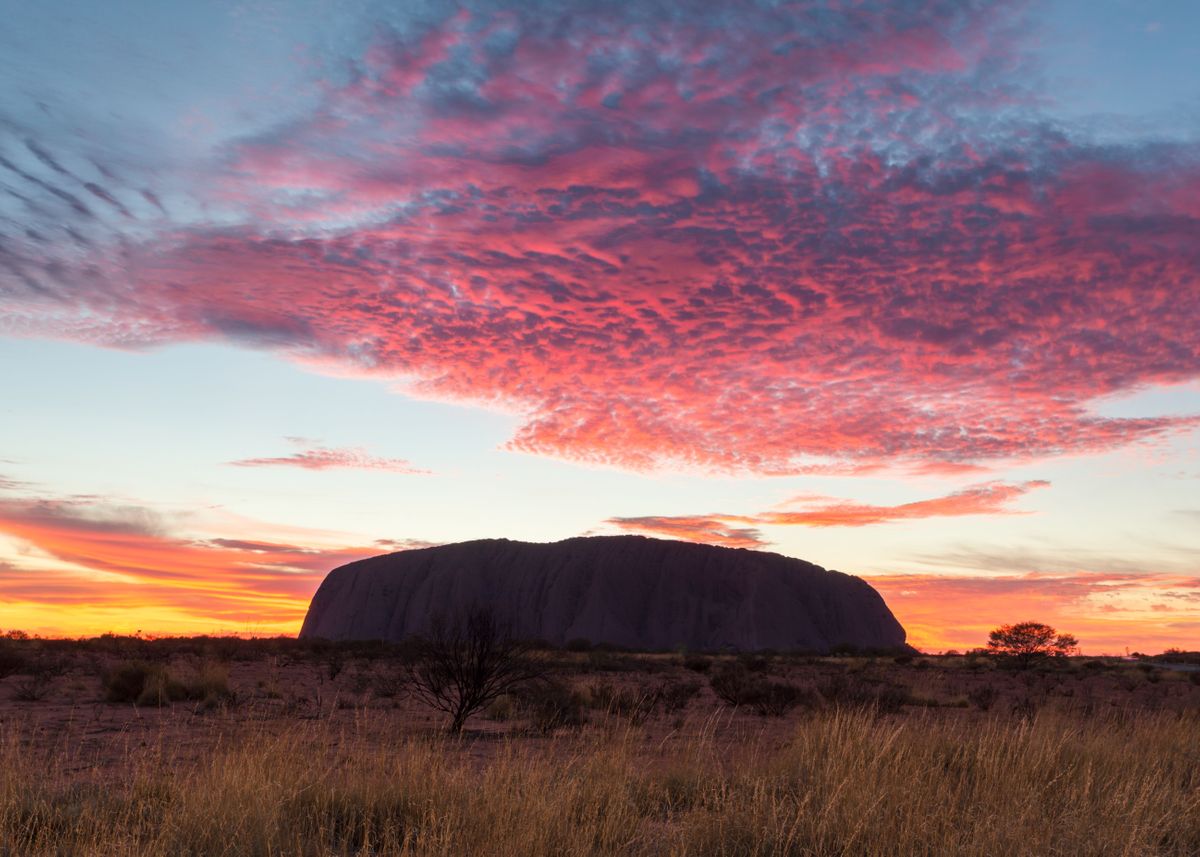 'Uluru at sunset Australia' Poster by Matteo Colombo | Displate