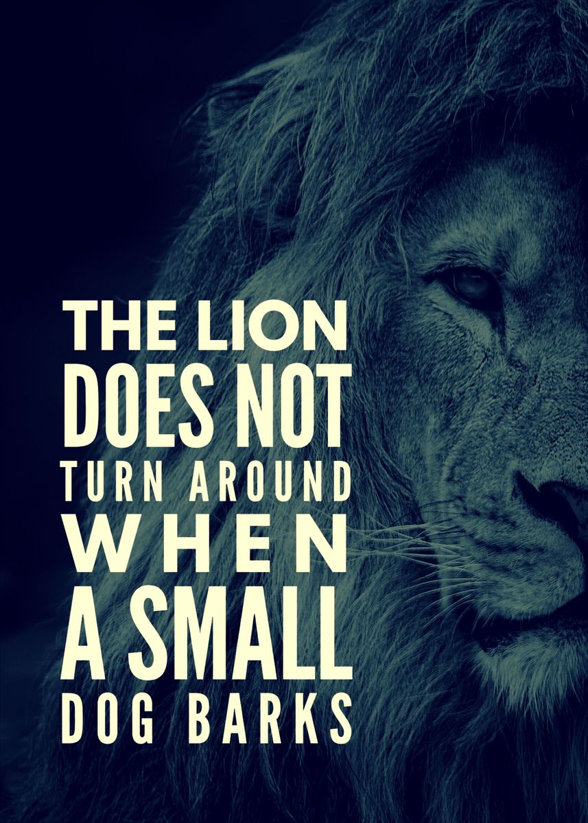 A Lion Never Look Back When A Dog Barks Meaning