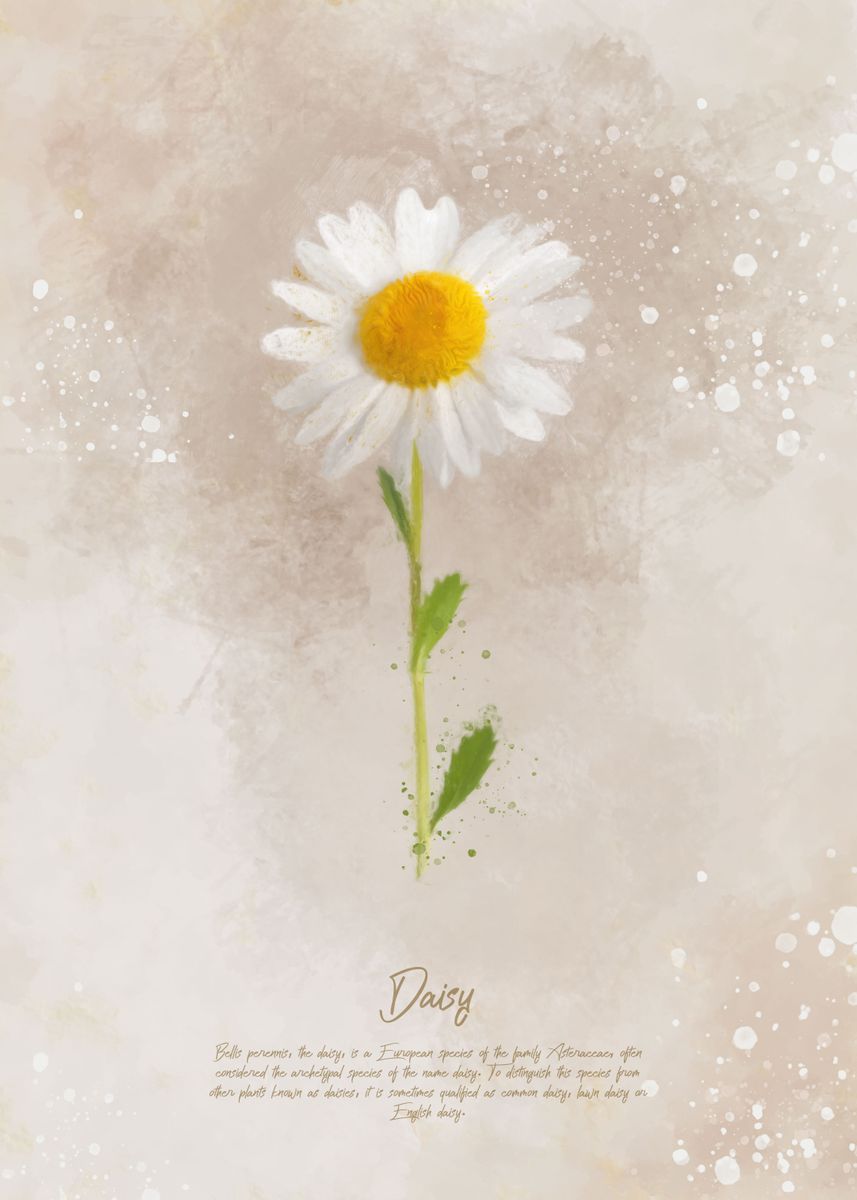 'Daisy Flower' Poster, picture, metal print, paint by Kamelyon | Displate