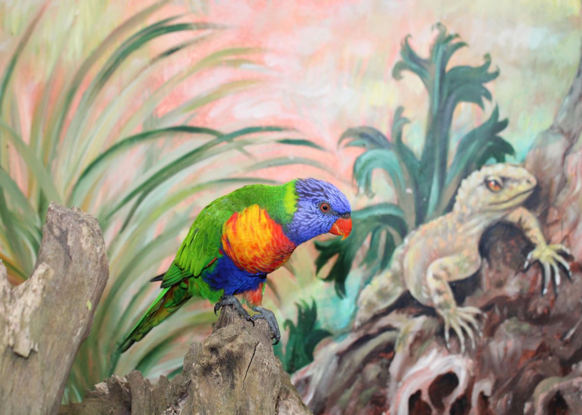 'Mystic Animal Pictures' Poster by Color My Wall | Displate