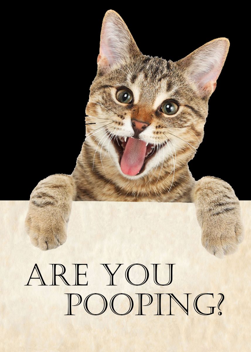 'FUNNY BENGAL POOP' Poster, picture, metal print, paint by Atomic ...