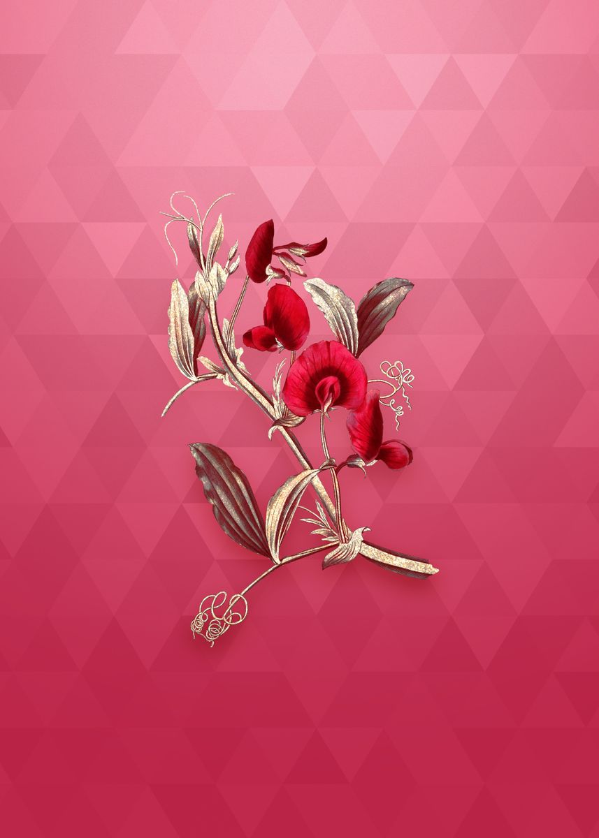 'Tangier Pea Flower on Red' Poster, picture, metal print, paint by Holy ...