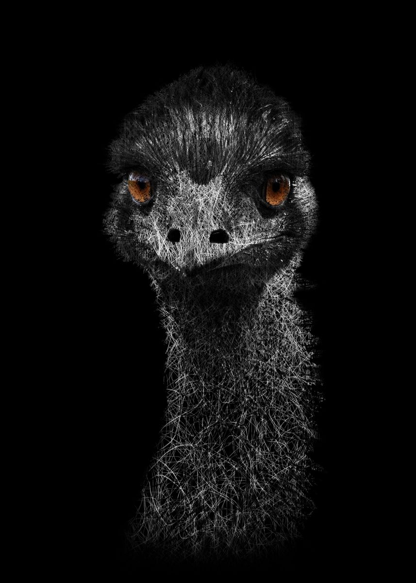 'The Wild Emus' Poster, picture, metal print, paint by Shamoon Ibrahim ...