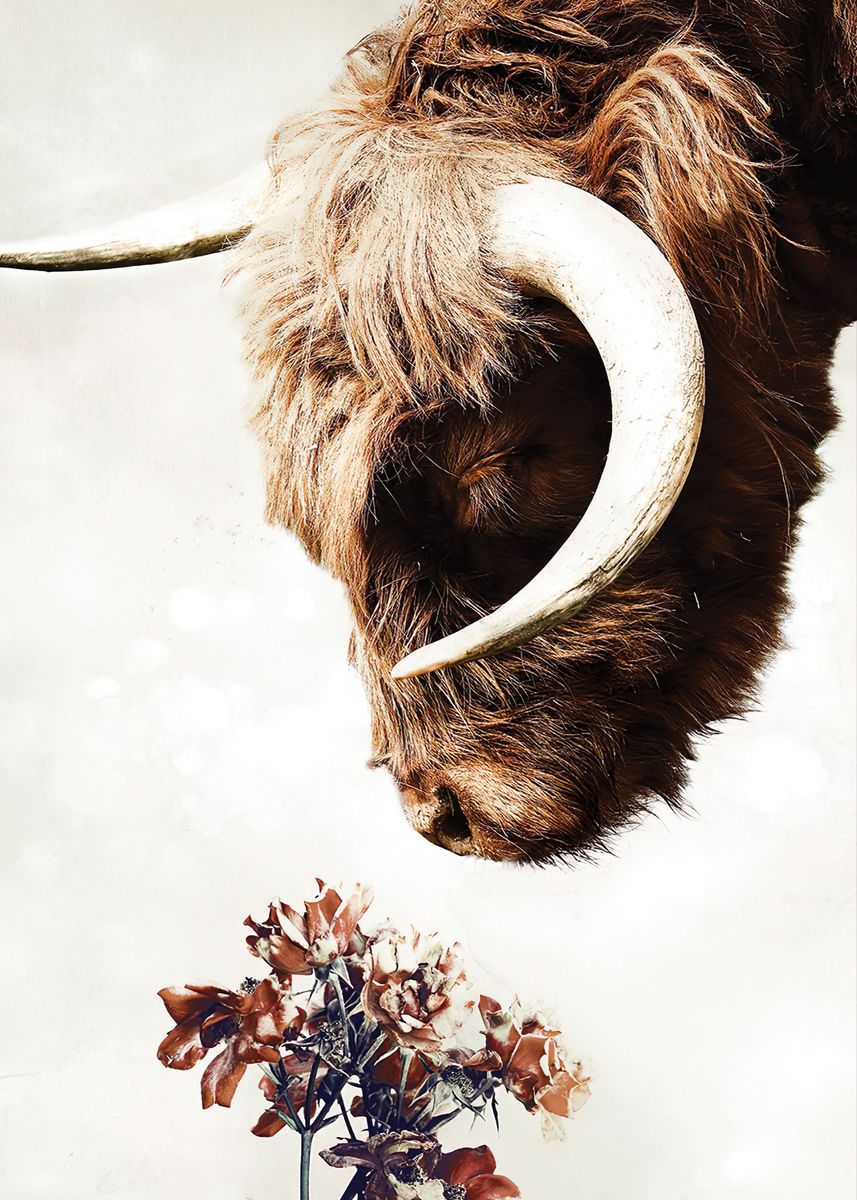 'Highlander Horns Flower' Poster, picture, metal print, paint by My ...