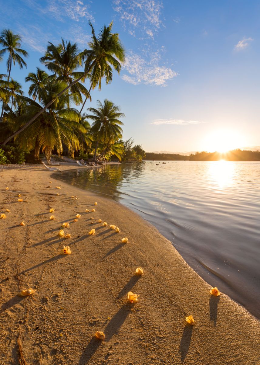 'Tropical beach at sunset' Poster, picture, metal print, paint by ...