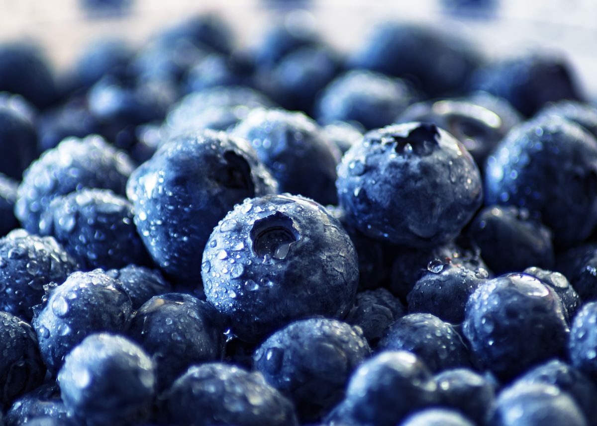 'blueberries ' Poster by Amazing Artist | Displate