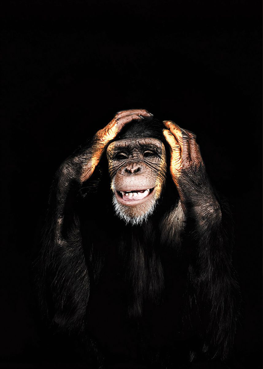 'Monkey Hear No Evil' Poster, picture, metal print, paint by My Wall ...