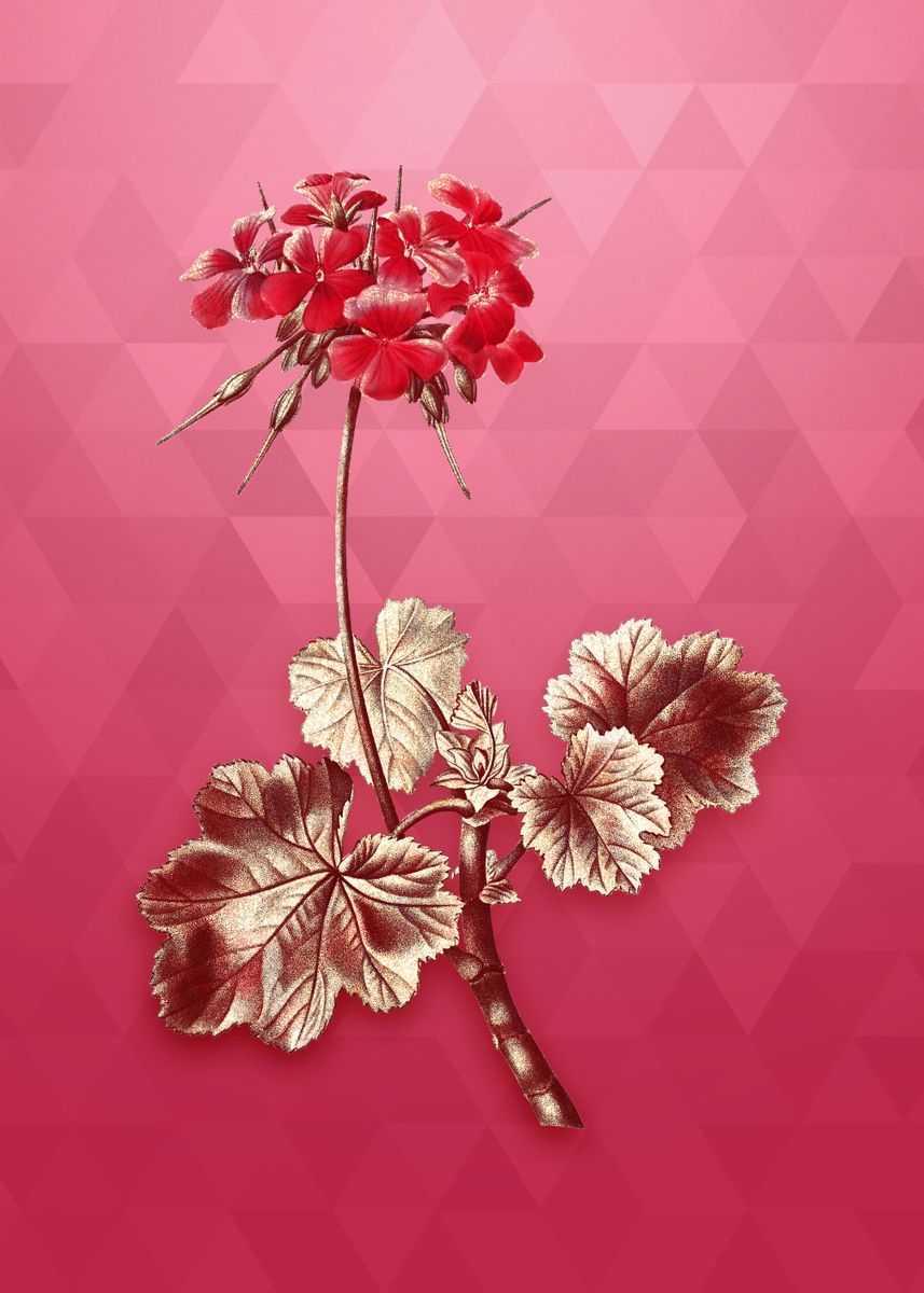 'Vintage Scarlet Geranium' Poster, picture, metal print, paint by Holy ...