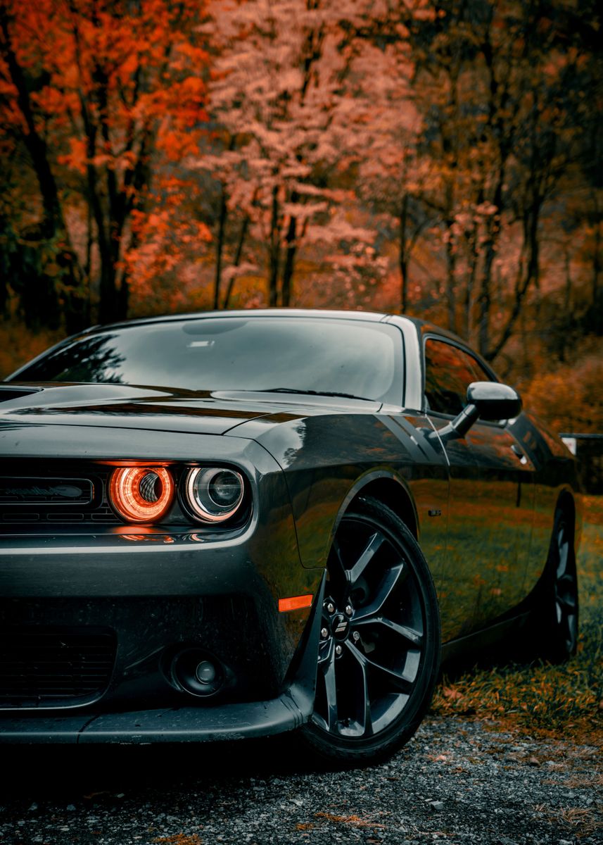 'Dodge Challenger Srt' Poster, picture, metal print, paint by Showroom ...