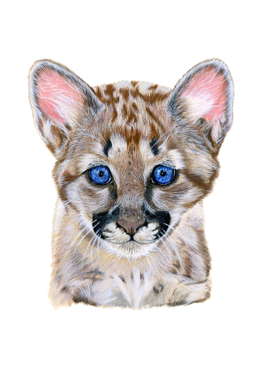 'Baby puma portrait' Poster, picture, metal print, paint by Byrdyak ...