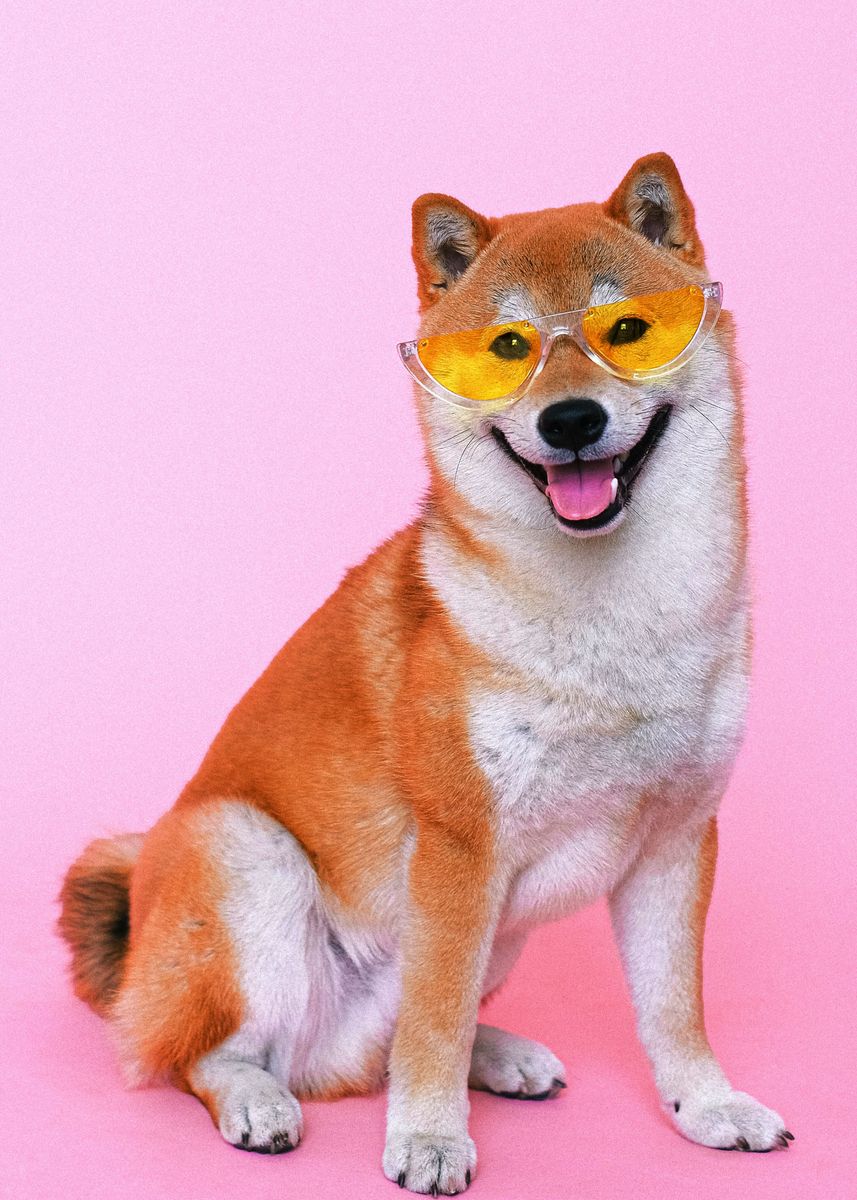 'COOL DOGS' Poster, picture, metal print, paint by PRIMNEPTI LERT ...