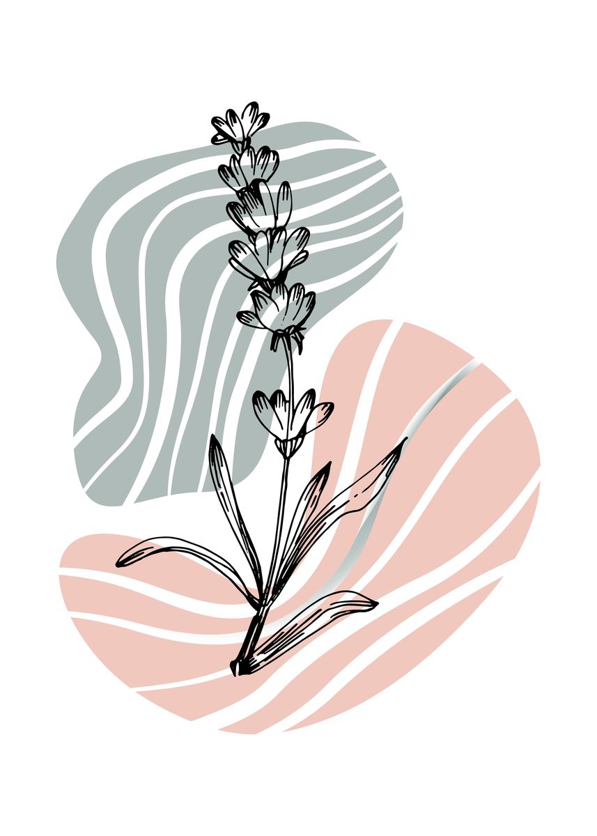 'Botanical Flower Lavender' Poster, picture, metal print, paint by ...