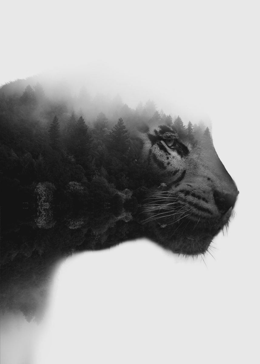 'Tiger with double exposure' Poster, picture, metal print, paint by ...
