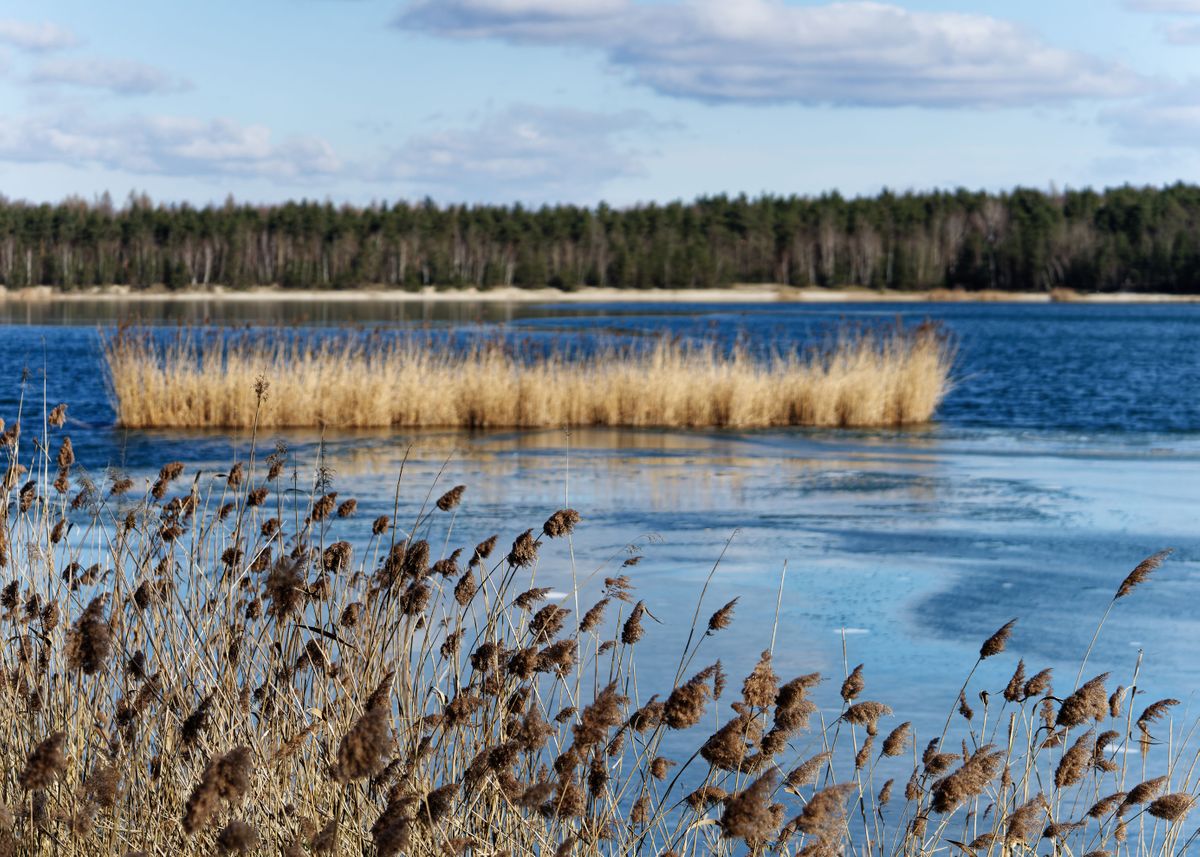 'Winter rest on a lake' Poster by Ralf Lehmann | Displate
