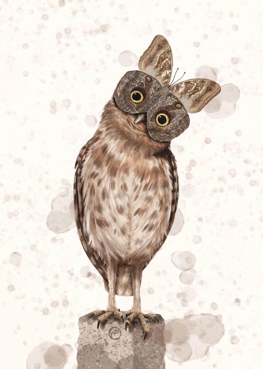 'Owl Butterfly Owl' Poster, picture, metal print, paint by Paula Belle ...