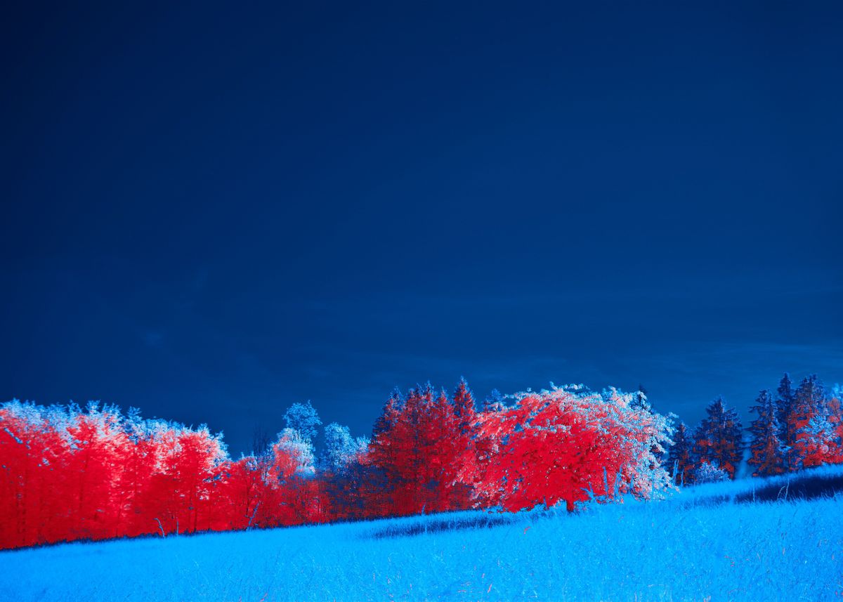 'Landscape break' Poster by Stephen Bredenkamp | Displate