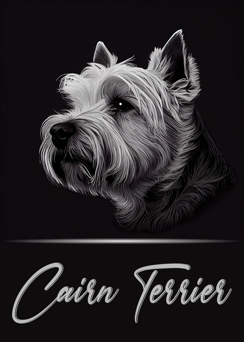 'Cairn Terrier Portrait' Poster, picture, metal print, paint by Artistic Paradigms | Displate