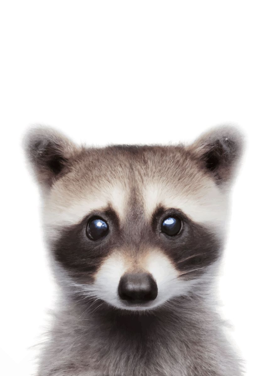 'Baby Animal Raccoon' Poster, picture, metal print, paint by Neo Design ...