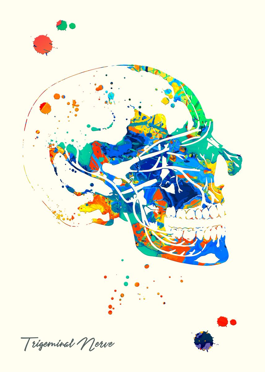 'Trigeminal Nerve' Poster, picture, metal print, paint by Vincent Vorce ...
