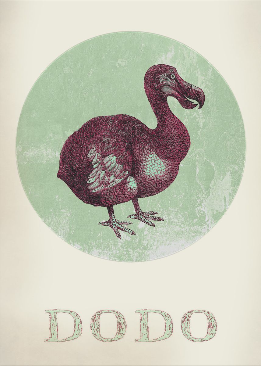 'Vintage poster Dodo bird' Poster, picture, metal print, paint by Vardi ...