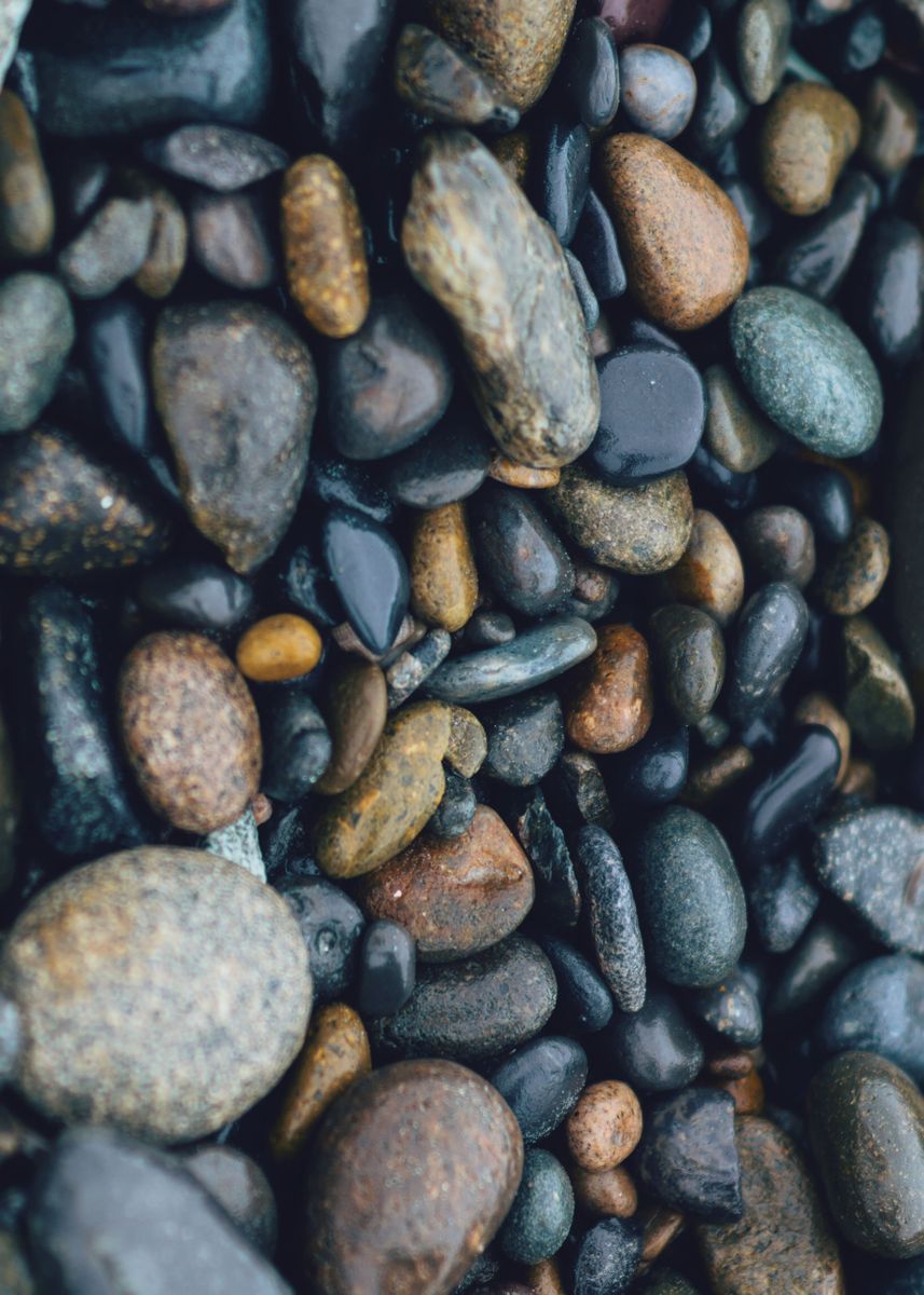 'Wet Beach Pebbles' Poster, picture, metal print, paint by crbn design ...