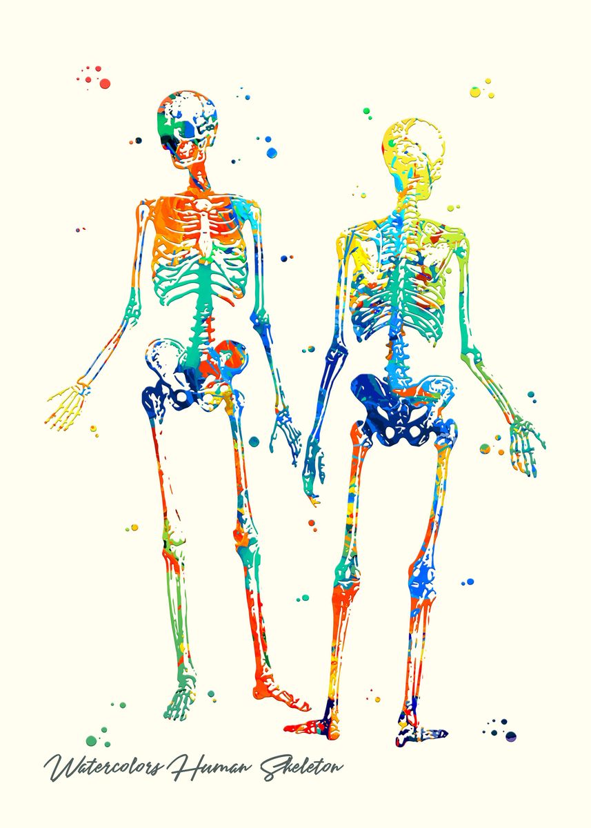 'Human Skeleton' Poster, picture, metal print, paint by Vincent Vorce ...