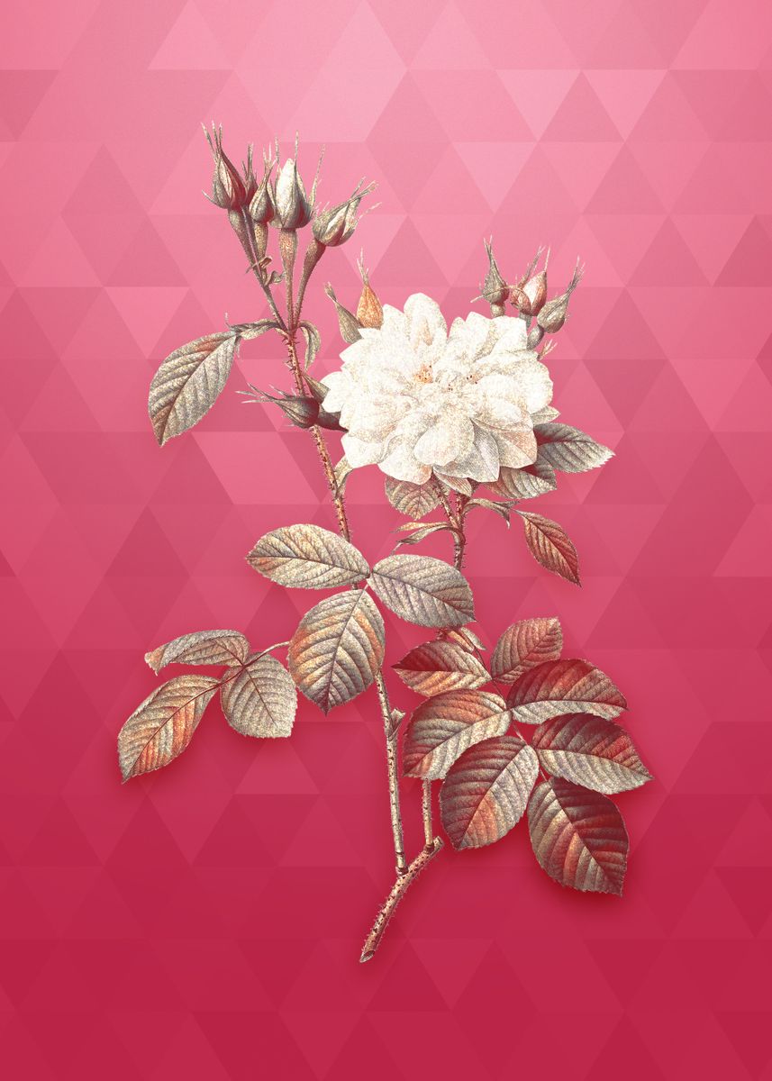 'Autumn Damask Rose on Red' Poster, picture, metal print, paint by Holy ...