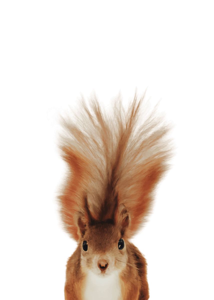 'Squirrel Baby Animal' Poster, picture, metal print, paint by Neo ...