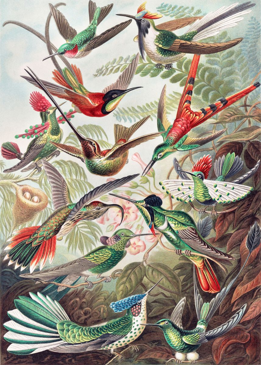 'Green Jungle Birds' Poster, picture, metal print, paint by crbn design ...