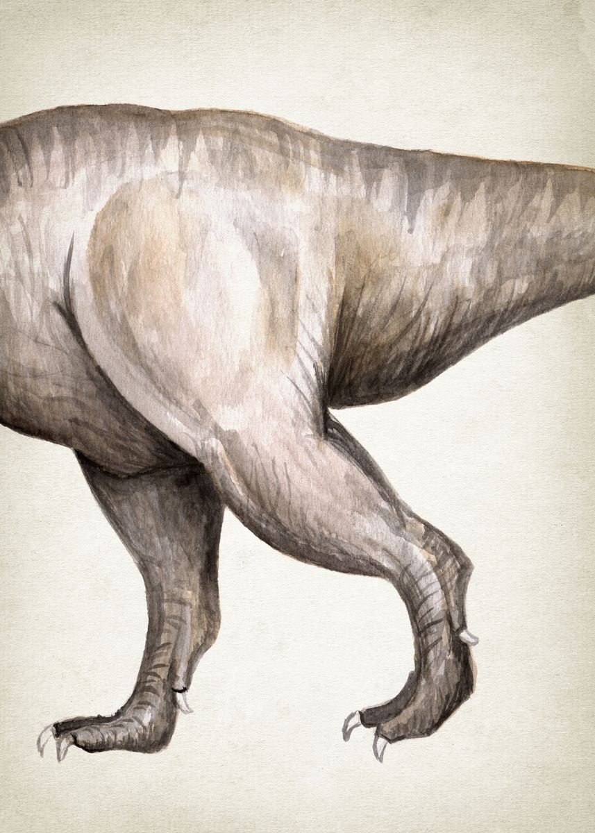 'tyrannosaurus rex body' Poster, picture, metal print, paint by ...