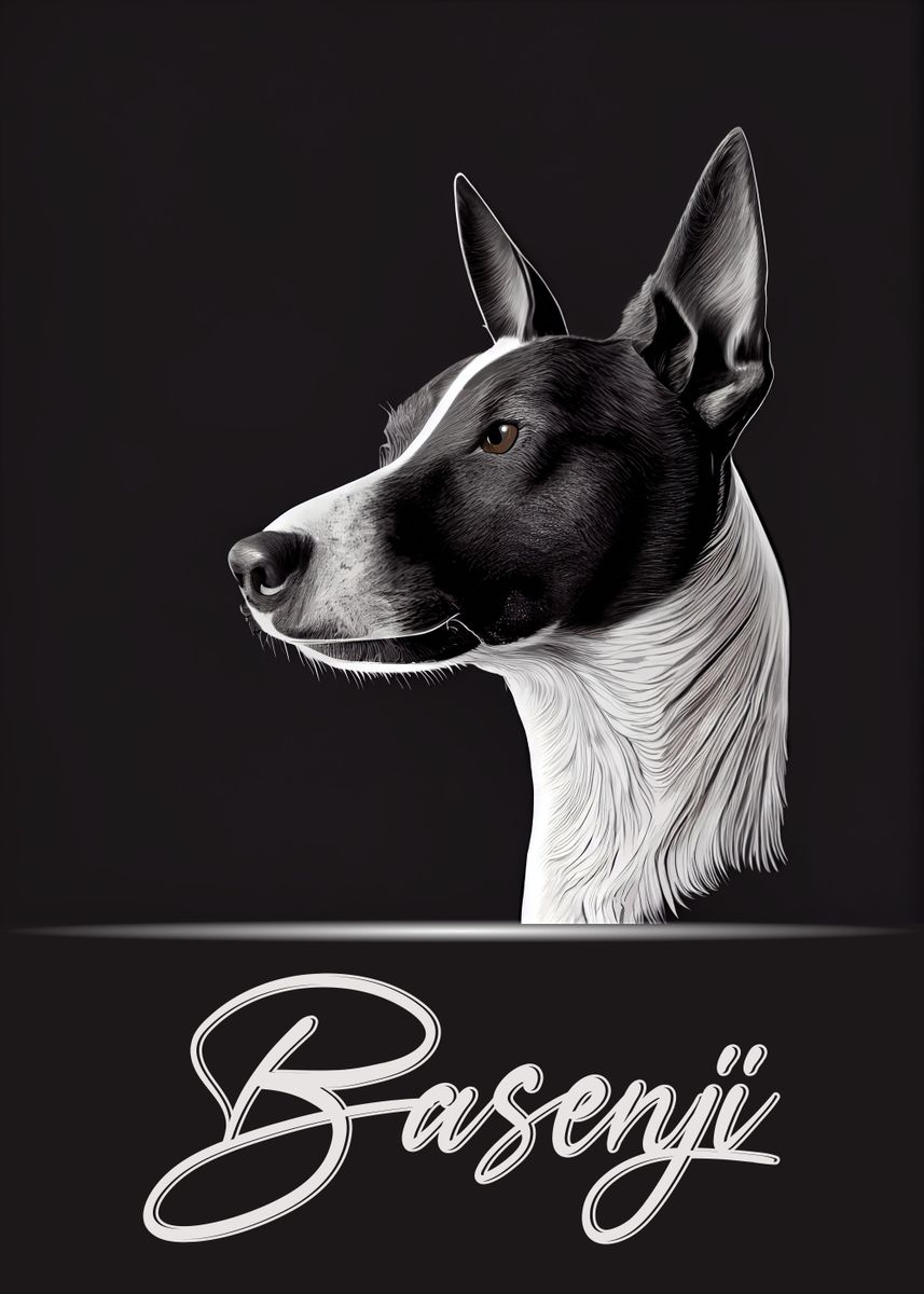 'Elegant Basenji' Poster, picture, metal print, paint by Artistic ...