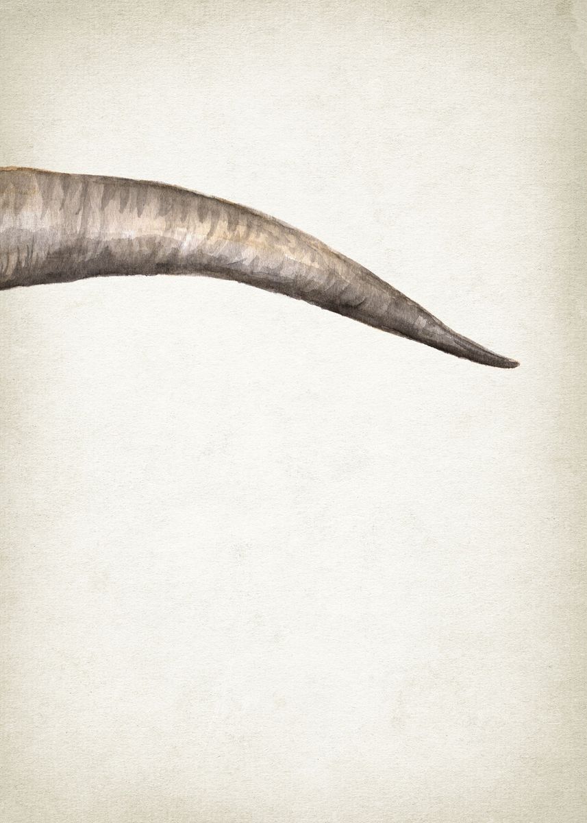 'T rex tail' Poster, picture, metal print, paint by Designersen | Displate