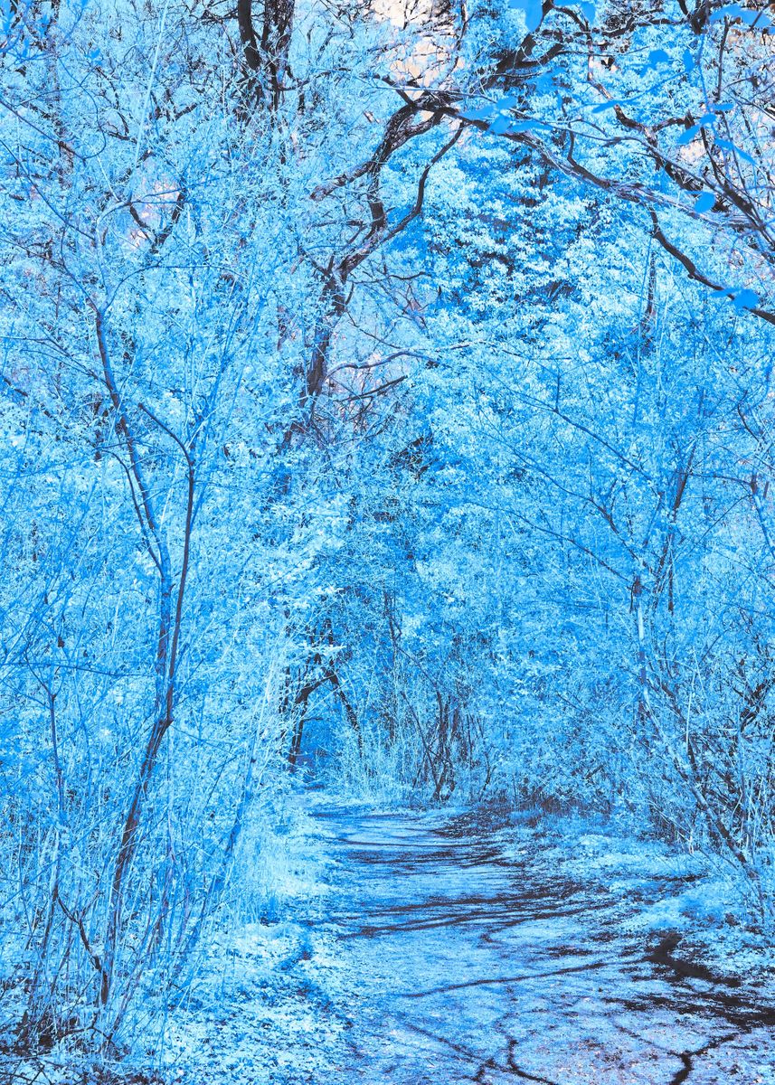 'White walk pathway' Poster, picture, metal print, paint by Stephen ...