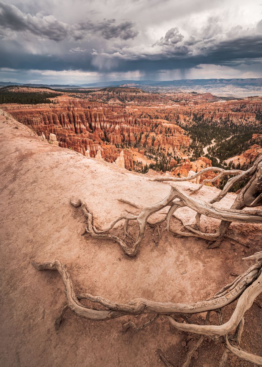 'Amazing Bryce Canyon' Poster, picture, metal print, paint by Matt Cool ...