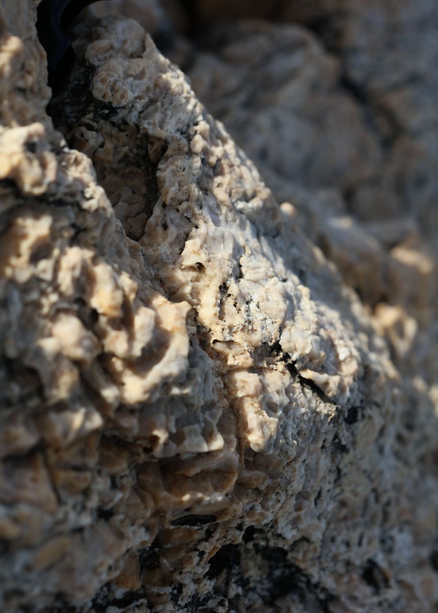 'Sea rock abstract close up' Poster, picture, metal print, paint by ...