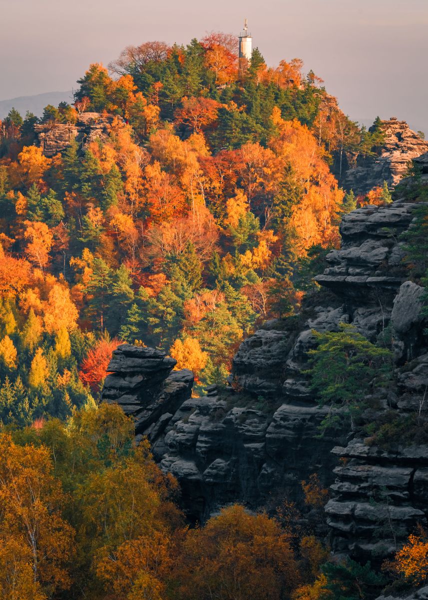 'Autumn Vibes' Poster, picture, metal print, paint by Stefan Becker | Displate