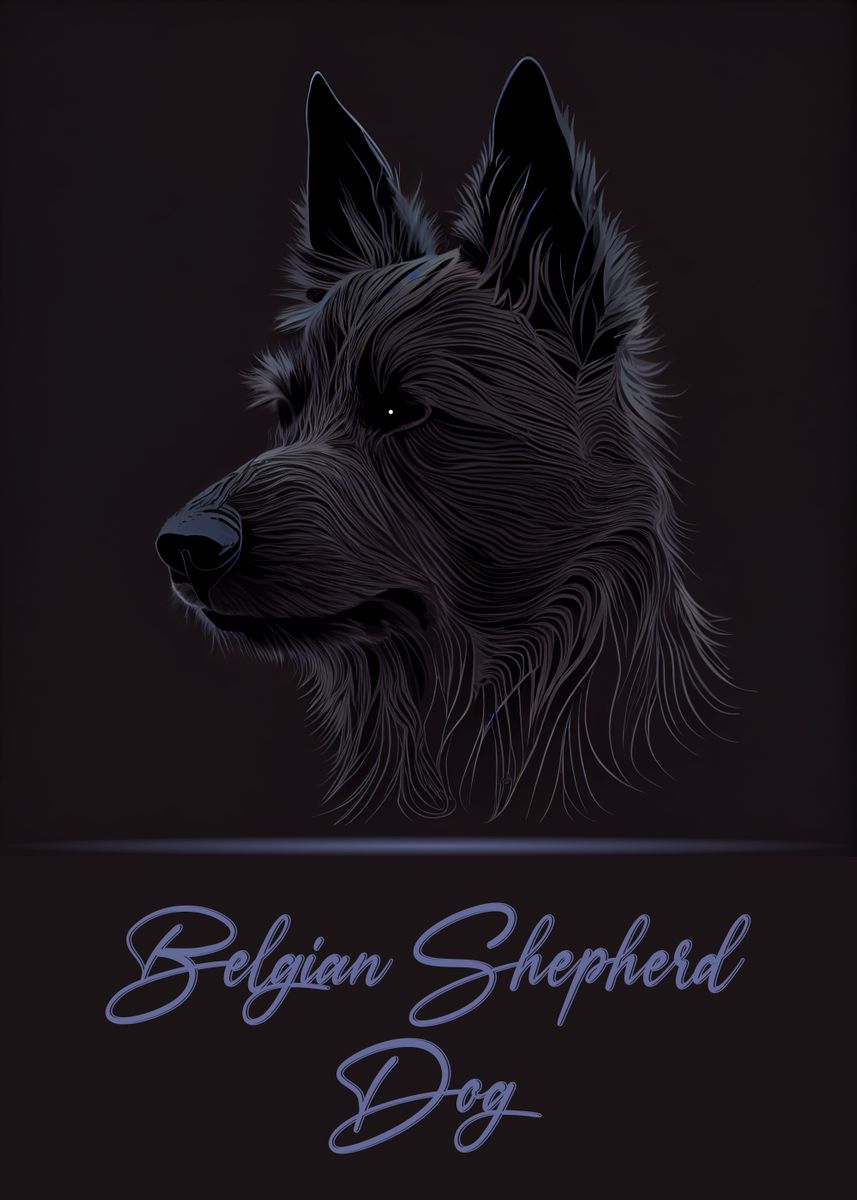 'Belgian Shepherd Dog' Poster by Artistic Paradigms | Displate