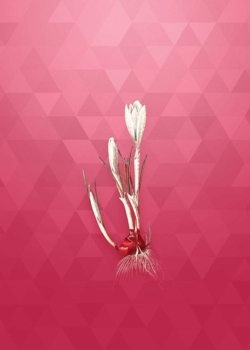 'Vintage Gold Spring Crocus' Poster, picture, metal print, paint by ...