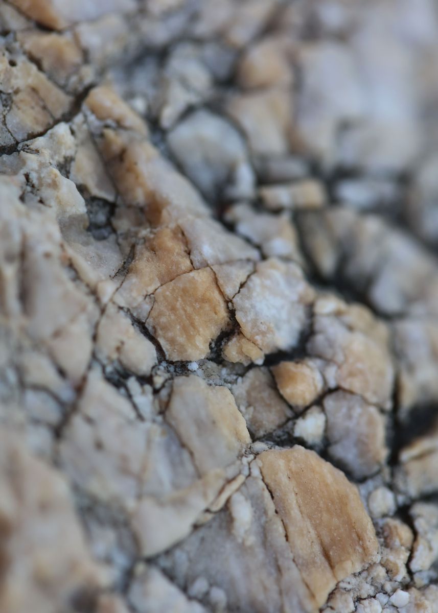 'Sea rock abstract close up' Poster, picture, metal print, paint by ...