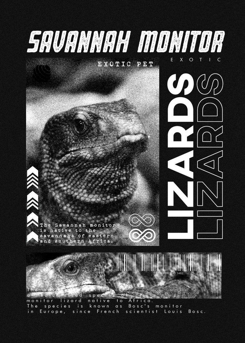 'Savannah Monitor Modern' Poster, picture, metal print, paint by Jon ...