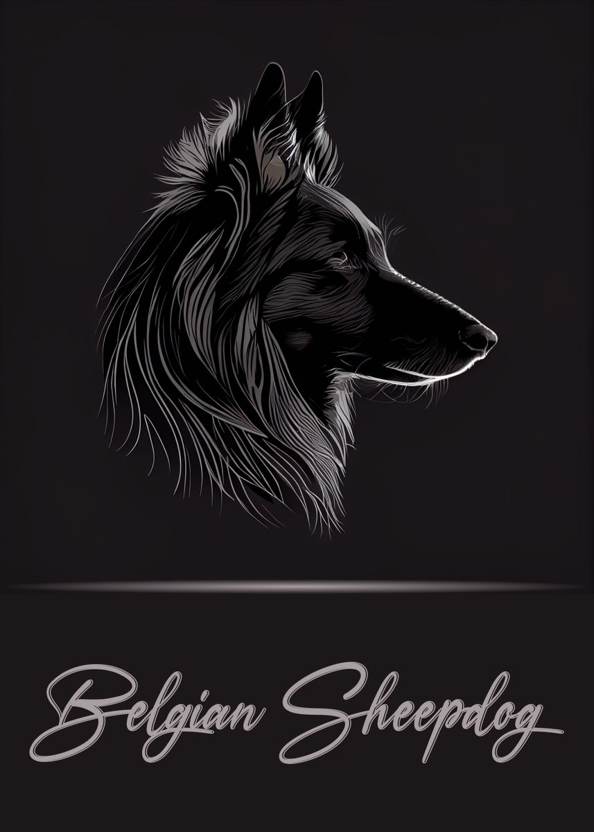 'Belgian Sheepdog' Poster, picture, metal print, paint by Artistic ...